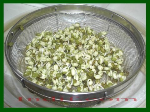 Indian Food : Basic Sprouts Recipes